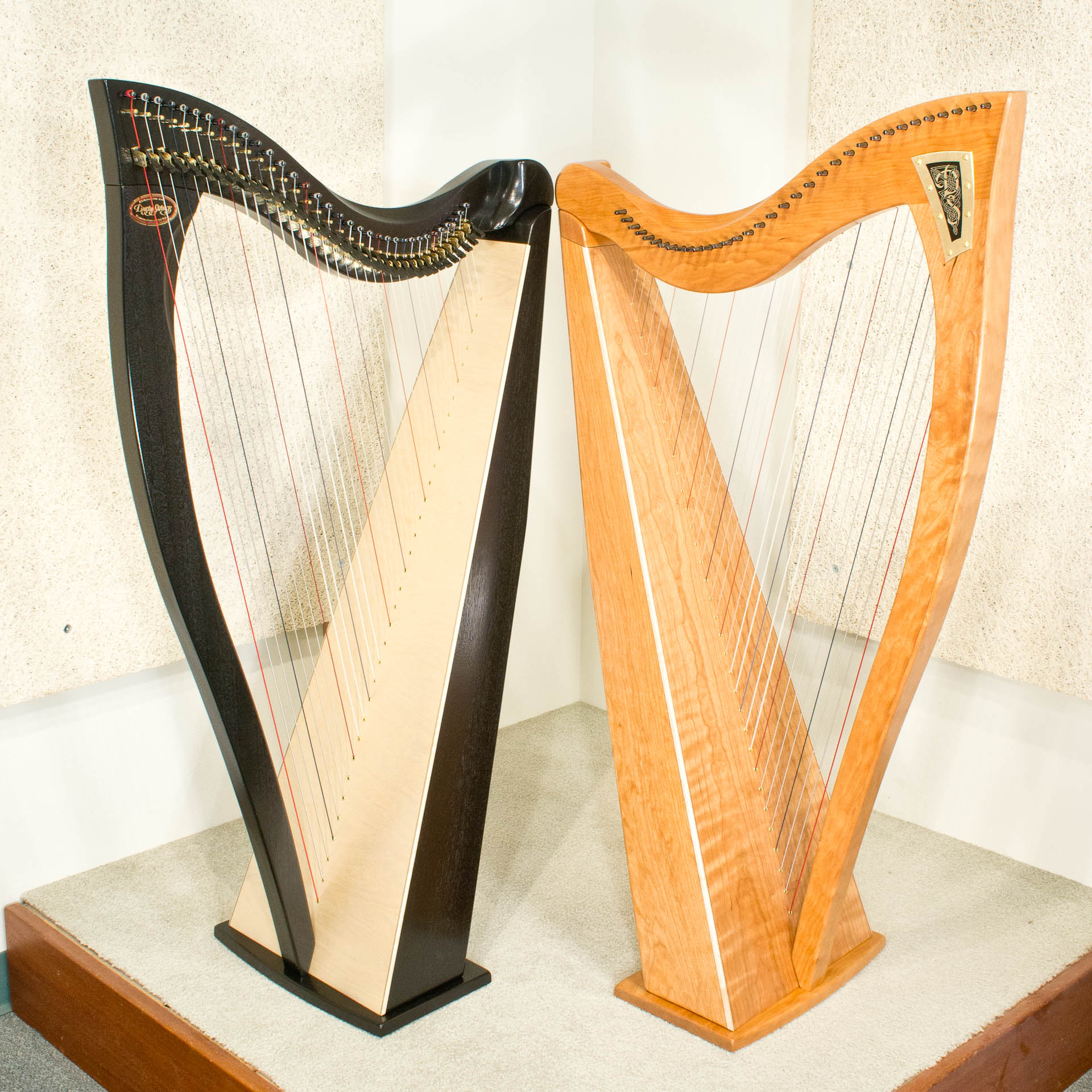 Dusty Harps at the 2023 Somerset Folk Harp Festival | Dusty Strings